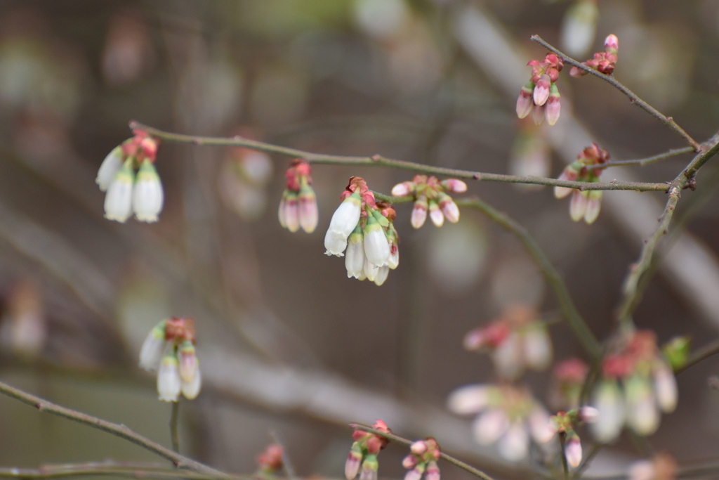 mayberry from Dorchester County, SC, USA on March 2, 2025 at 09:31 AM ...