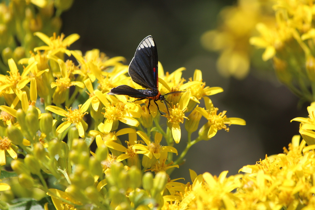 Saucy Beauty from Cadereyta, Qro., México on March 3, 2025 at 11:18 AM ...