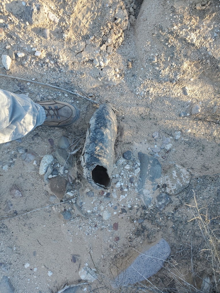 saguaro in December 2022 by Bob Miller. "Saguaro boot. Named for its ...