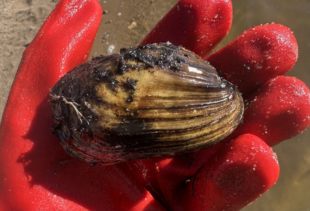 Fatmucket from Lapointe St, Prairie du Chien, WI, US on March 8, 2025 ...