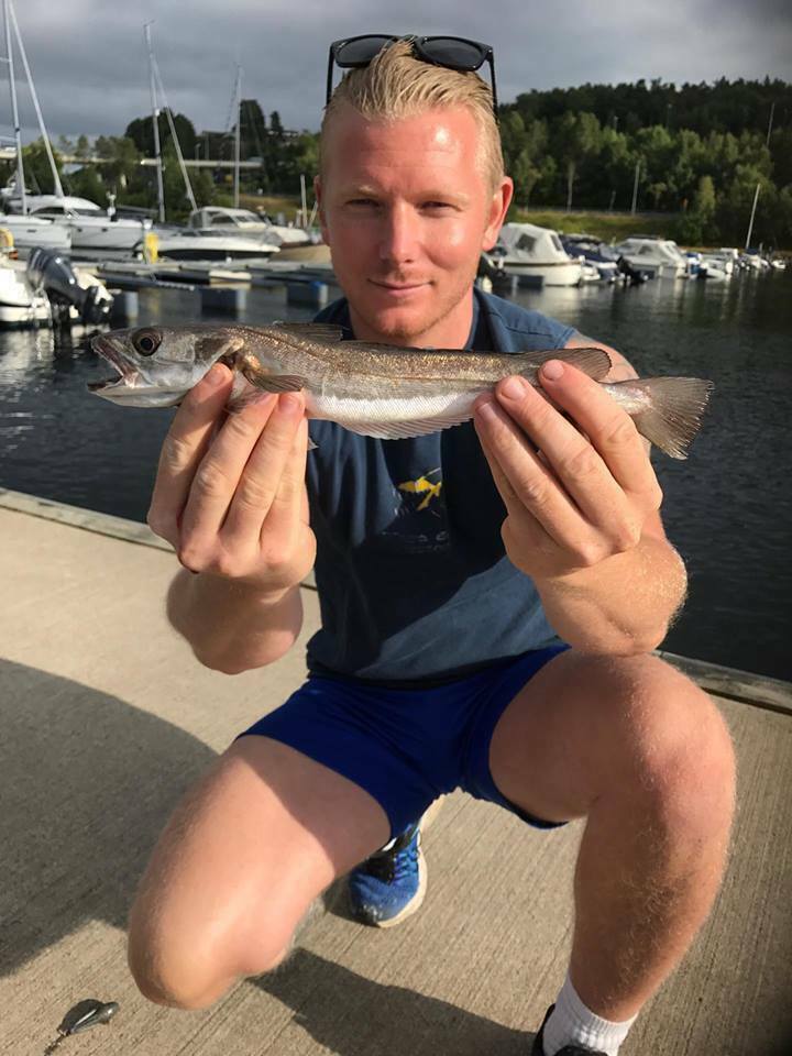 European Hake from Kristiansand, Norge on July 19, 2017 at 11:17 PM by ...