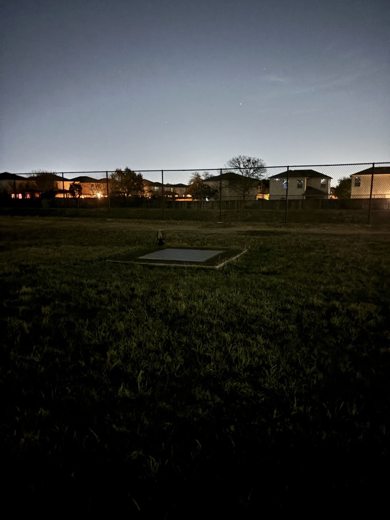 Striped Skunk from The University of Texas at San Antonio, San Antonio ...