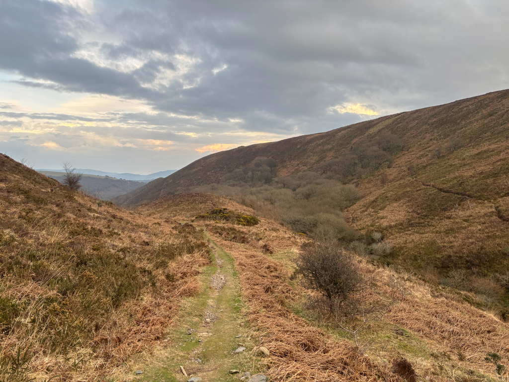 common bracken from Minehead, England, GB on March 22, 2025 at 05:03 PM ...