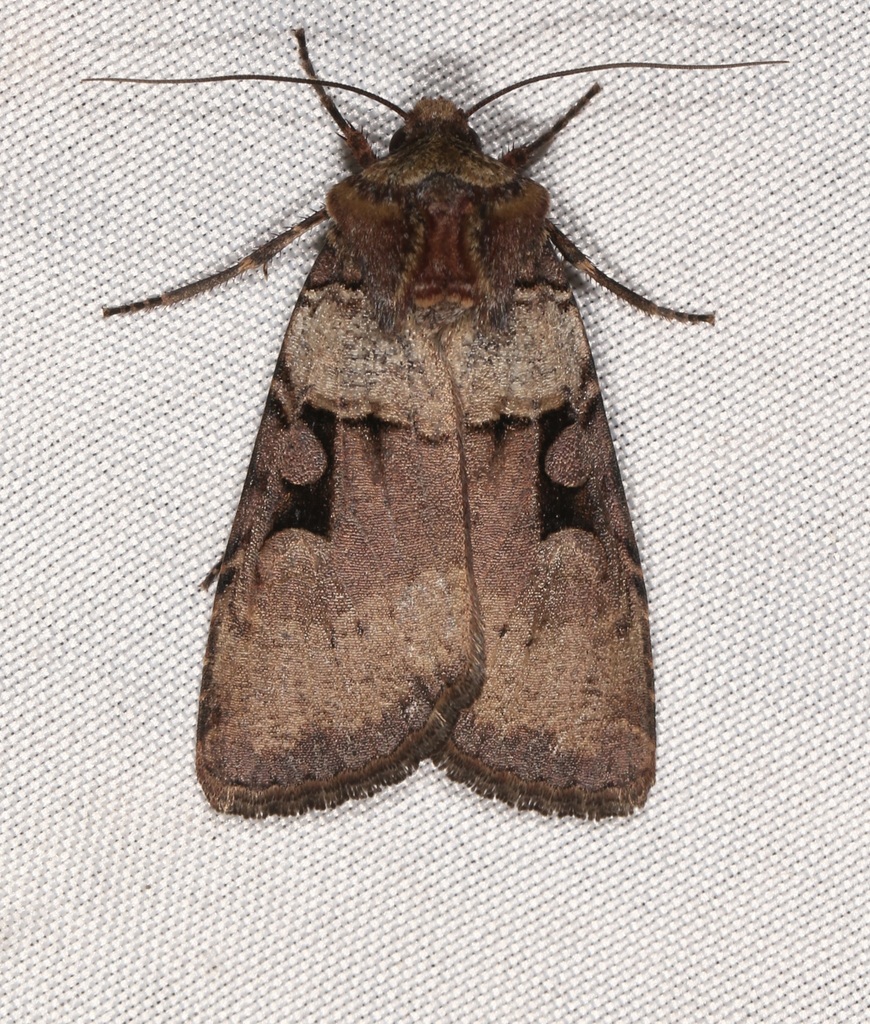 Richia serano from Cochise County, AZ, USA on August 13, 2023 at 11:12 ...