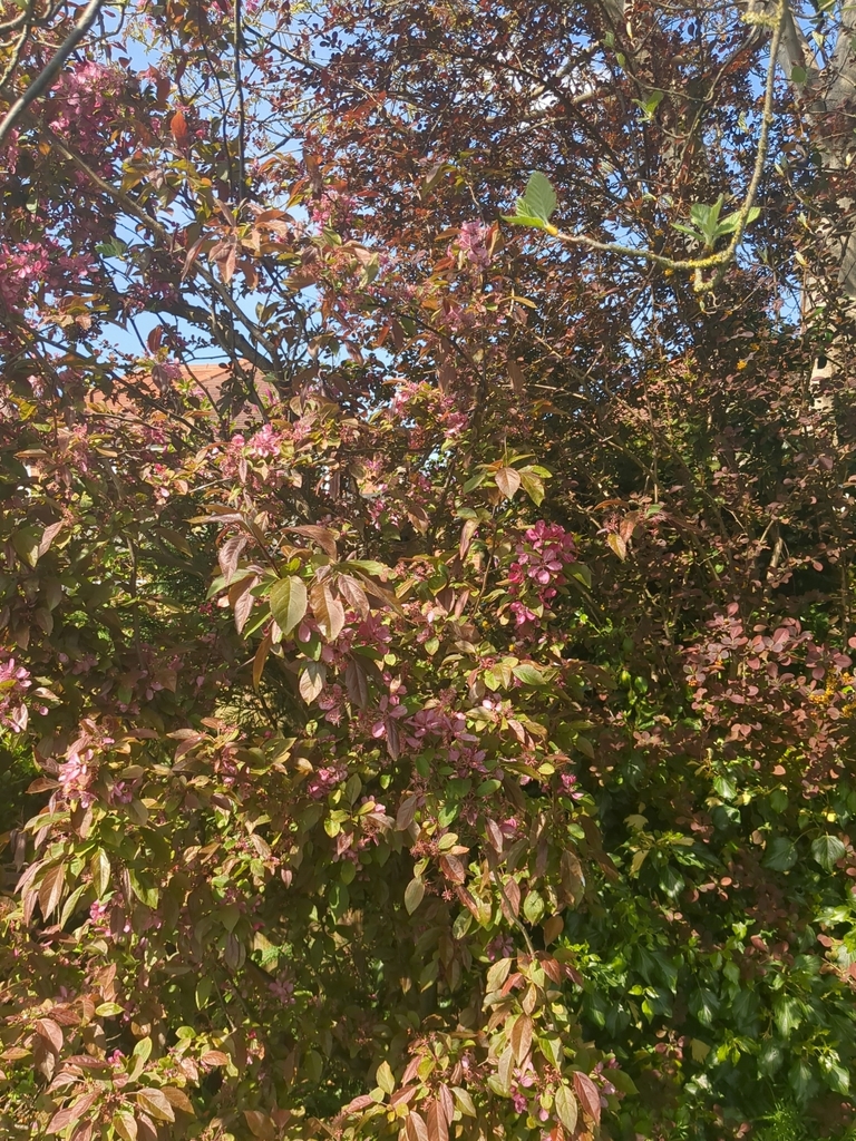 Spindle from York on April 27, 2025 at 03:18 PM by Debi Saunders ...