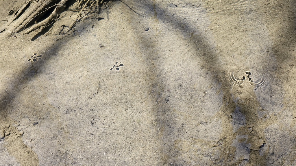 Gerrini from Bolton, ON, Canada on April 27, 2025 at 12:37 PM by Robert ...