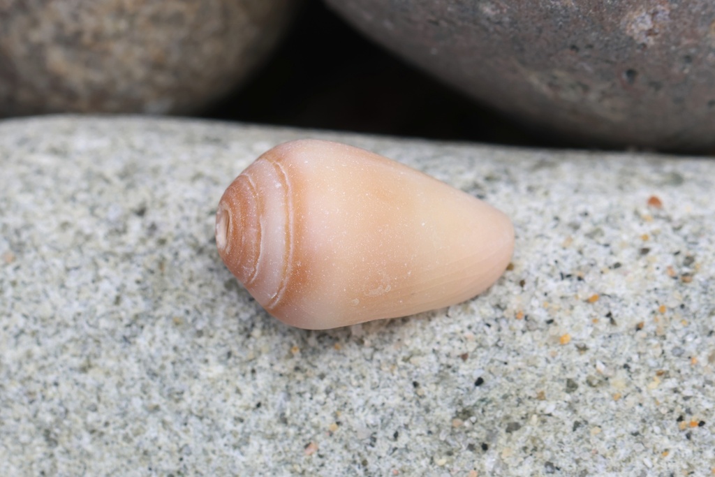 California Cone from La Jolla, San Diego, CA, USA on May 12, 2025 at 01 ...
