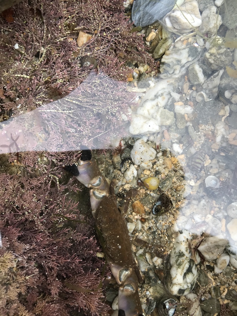 Xantho from Cliff Road, Falmouth, England, GB on May 17, 2025 at 02:54 ...