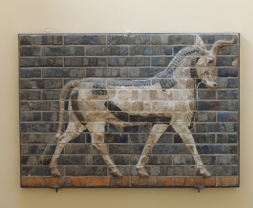 Aurochs (Bos primigenius) - Know Your Mammals