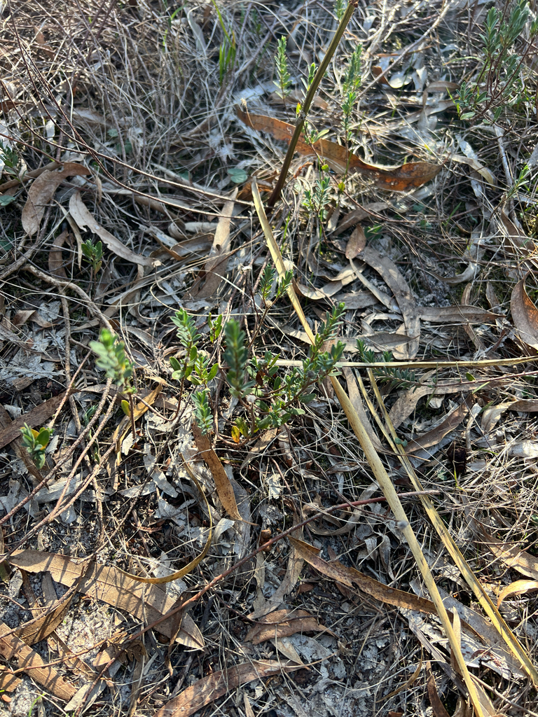 life from Springvale Rd, Dingley Village, VIC, AU on May 26, 2025 at 02 ...