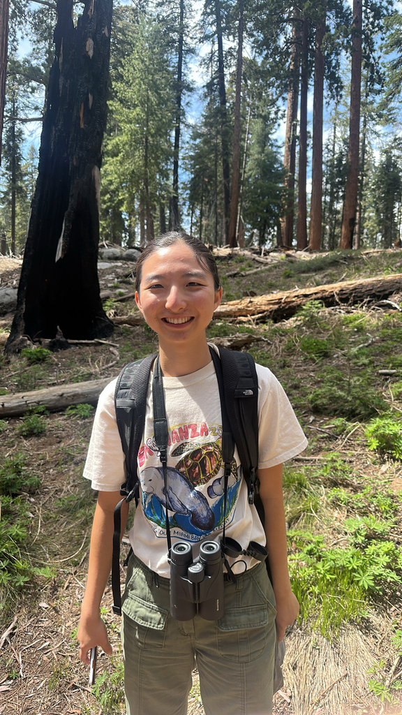 Human from Kings Canyon/sequoia, Sequoia National Park, Sequoia and ...