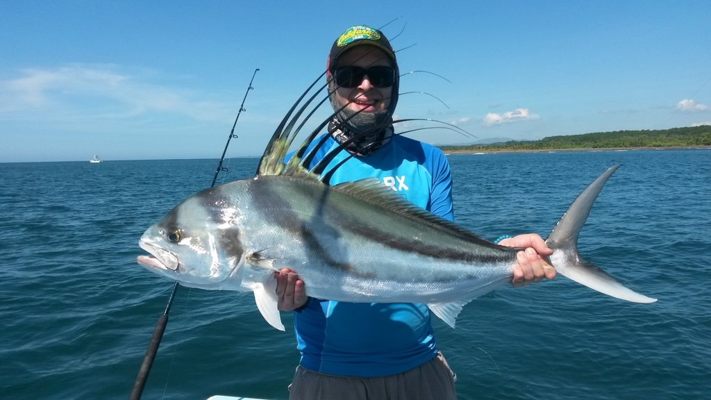 Roosterfish from Costa Rica on January 22, 2017 at 10:05 AM by Jay ...