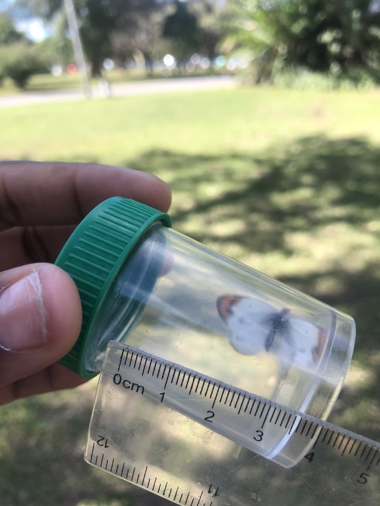 Tips from Lucas Avenue, Grahamstown, EC, ZA on October 11, 2019 at 02: ...