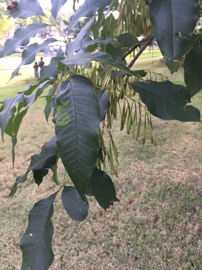 Shamel Ash from Center St, Mobile, AL, US on October 17, 2019 at 08:37 ...