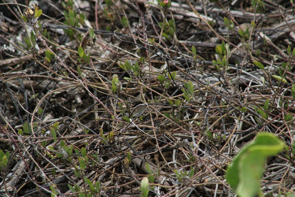 Ramon Blue from Puerto Ayora, Ecuador on September 14, 2019 at 06:05 PM ...