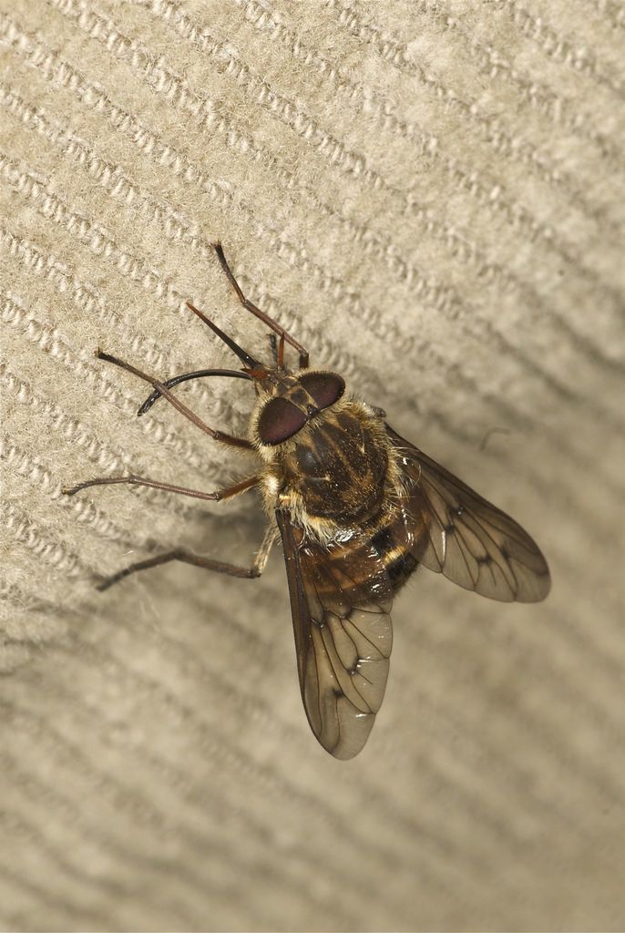 Scione from Ilaló, Metropolitan District of Quito, Pichincha, Ecuador ...