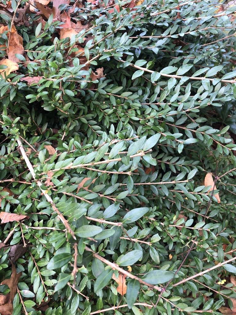 common box from University of Victoria, Victoria, BC, CA on October 31 ...