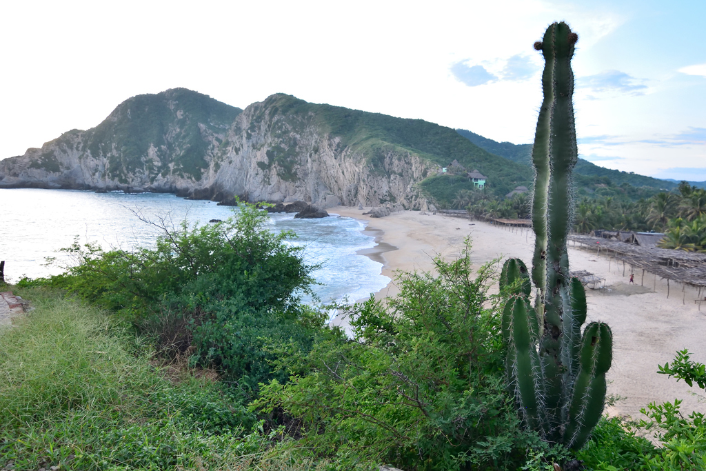 Pitayas from Municipio de Aquila, Mich., México on November 3, 2019 at ...
