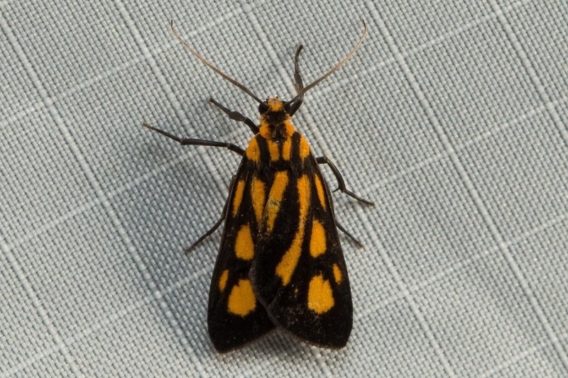 Nishada from Sarawak, Malaysia on April 14, 2018 at 11:09 AM by ...