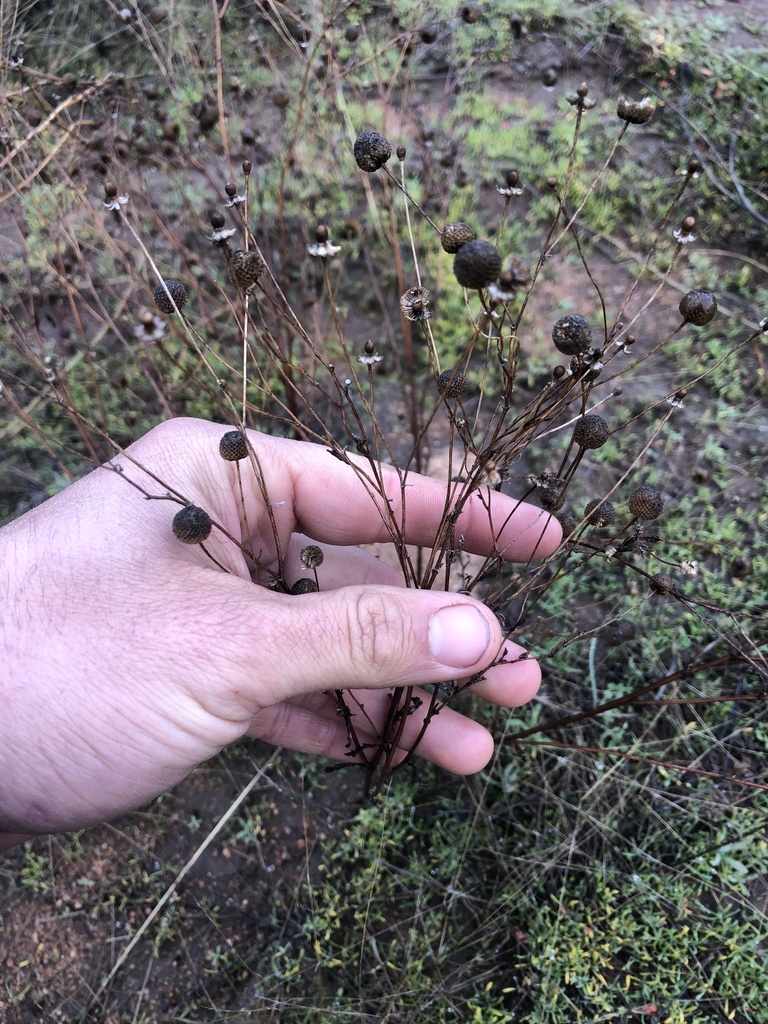 stinknet from Perris, CA, US on December 24, 2019 at 08:43 AM by Aaron ...