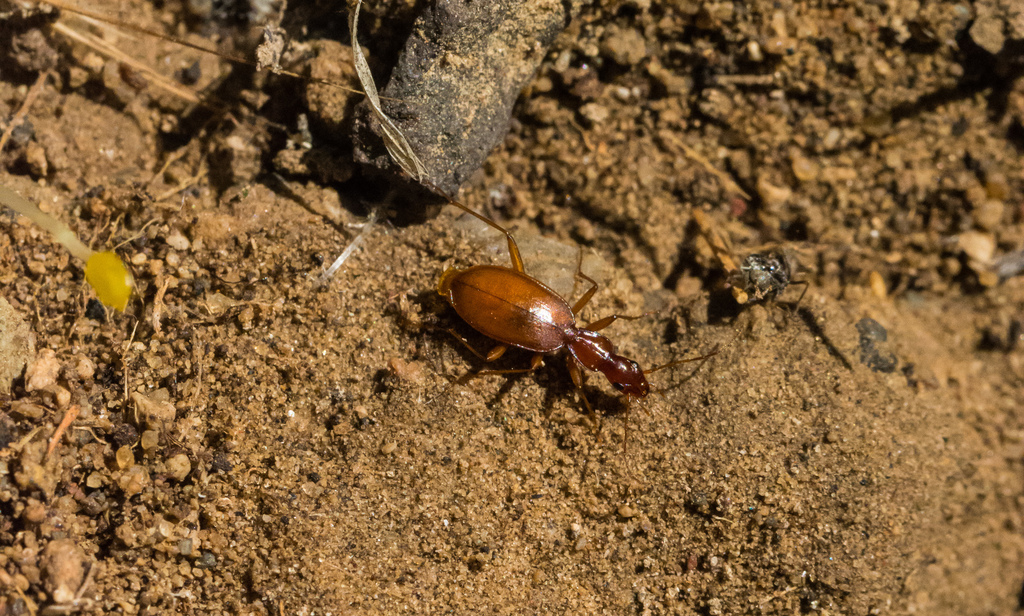 Rhadine from San Bernardino County, CA, USA on January 2, 2020 at 11:13 ...