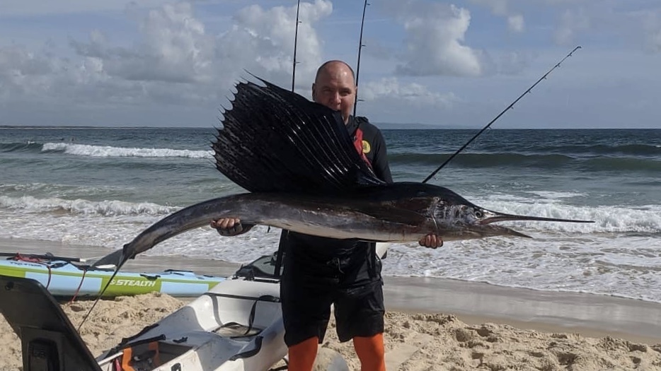 Sailfish from Queensland, Australia on January 27, 2020 at 12:02 PM by ...