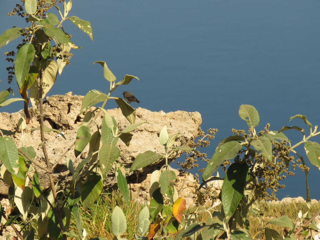 tepozan from Laguna de Alchichica on December 24, 2019 at 12:20 AM by ...