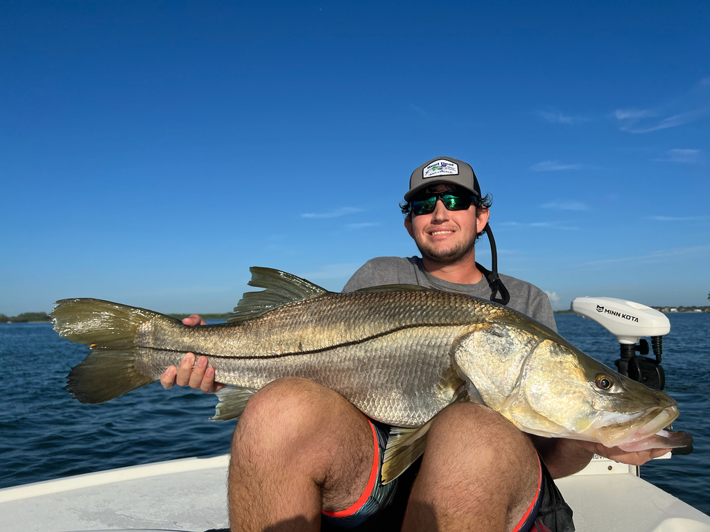 Common Snook from Martin County, US-FL, US on June 30, 2022 at 08:09 AM ...