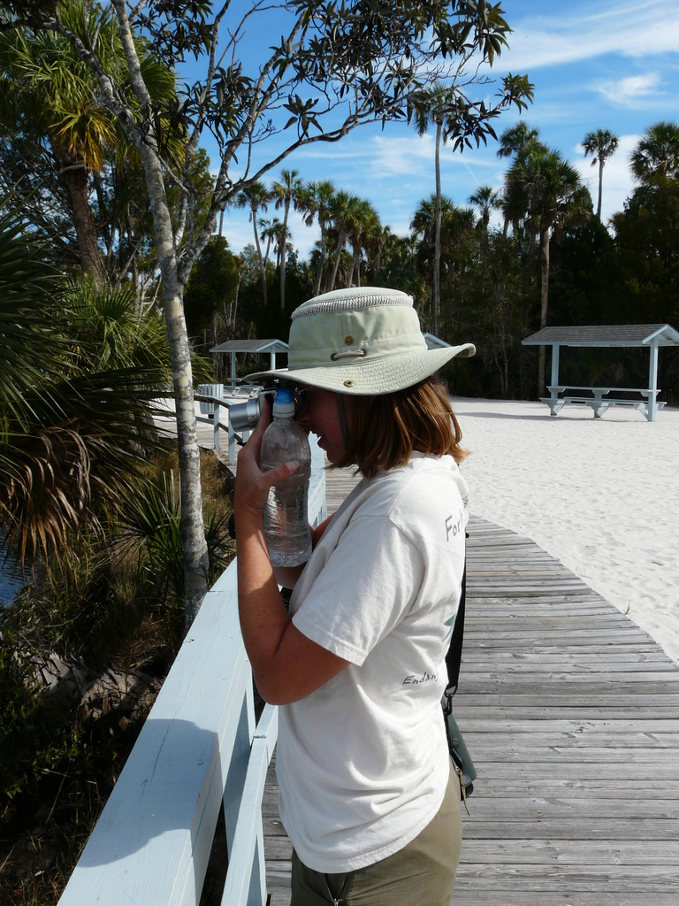 cabbage palmetto from Florida, Hernando, Weeki Wachee, Linda Pedersen ...