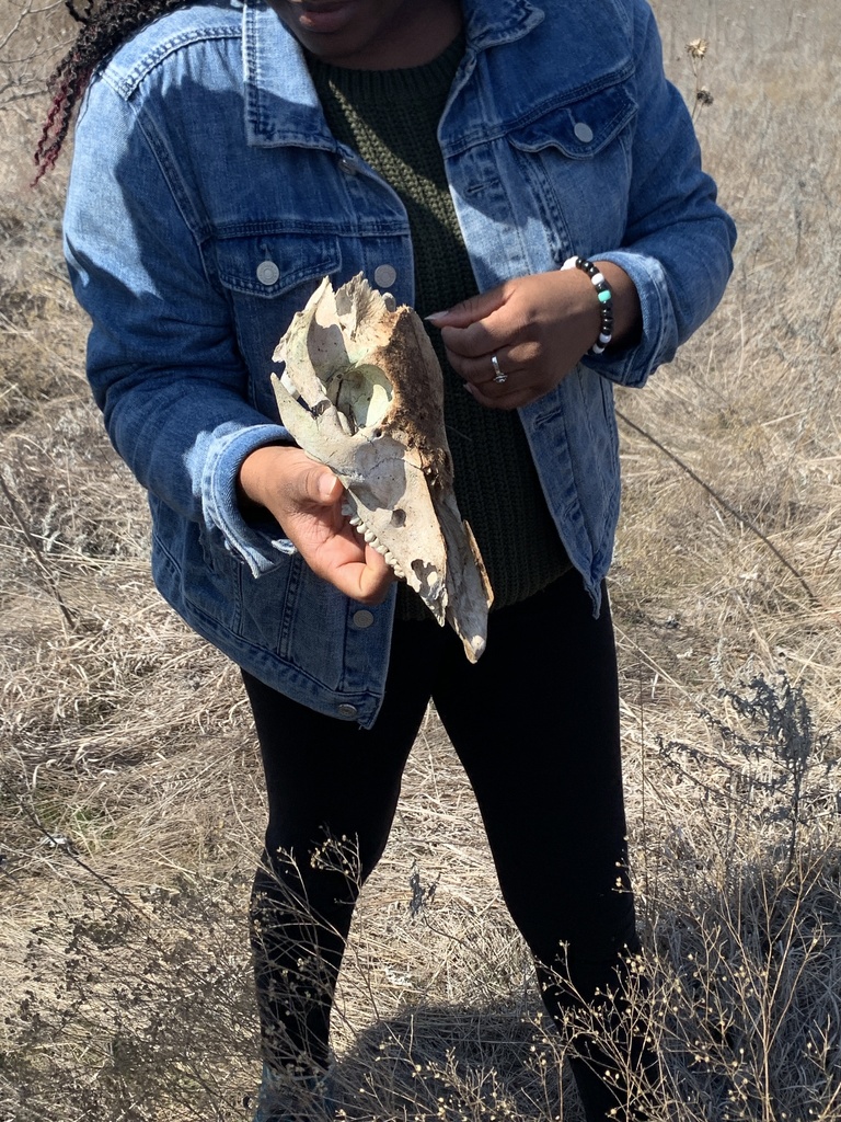 Wild Boar from Holliday, TX, US on February 18, 2020 at 01:28 PM by ...