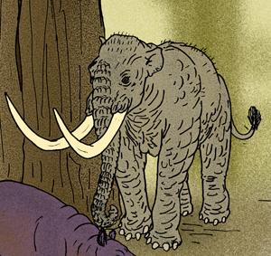 Sicilian Dwarf Elephant