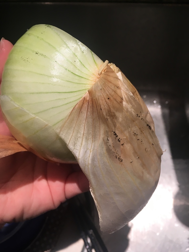 Black Mold from Sundance Square, Fort Worth, TX, US on April 18, 2020 ...