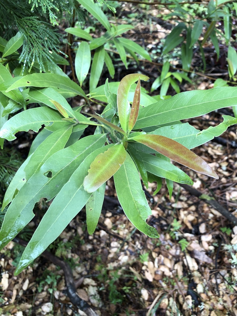 California bay from Cronan Ranch Trails Park, Lotus, CA, US on May 17 ...