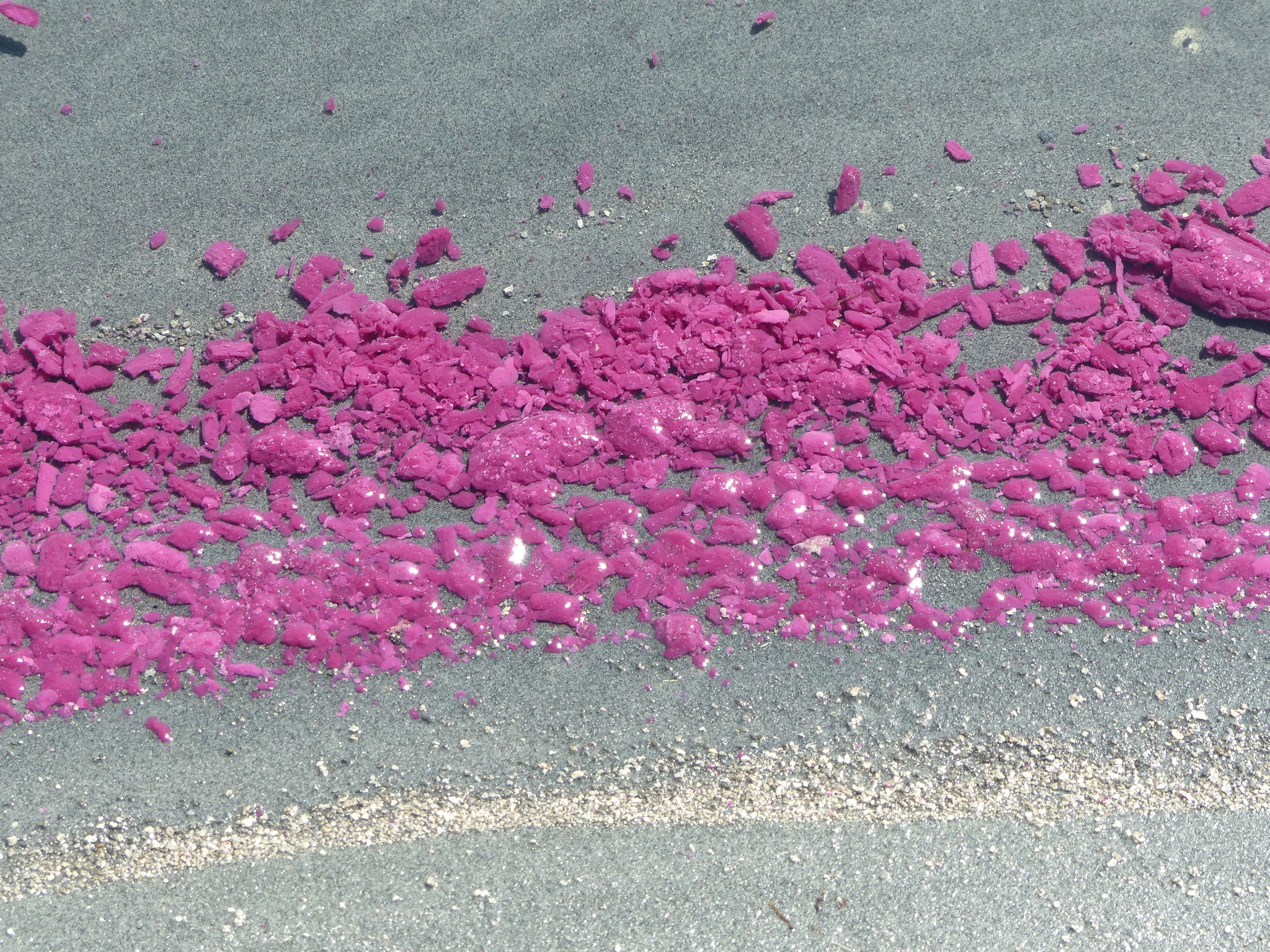 Bacterias Sulfurosas Roxas Phycokey Purple Sulfur Bacteria Images