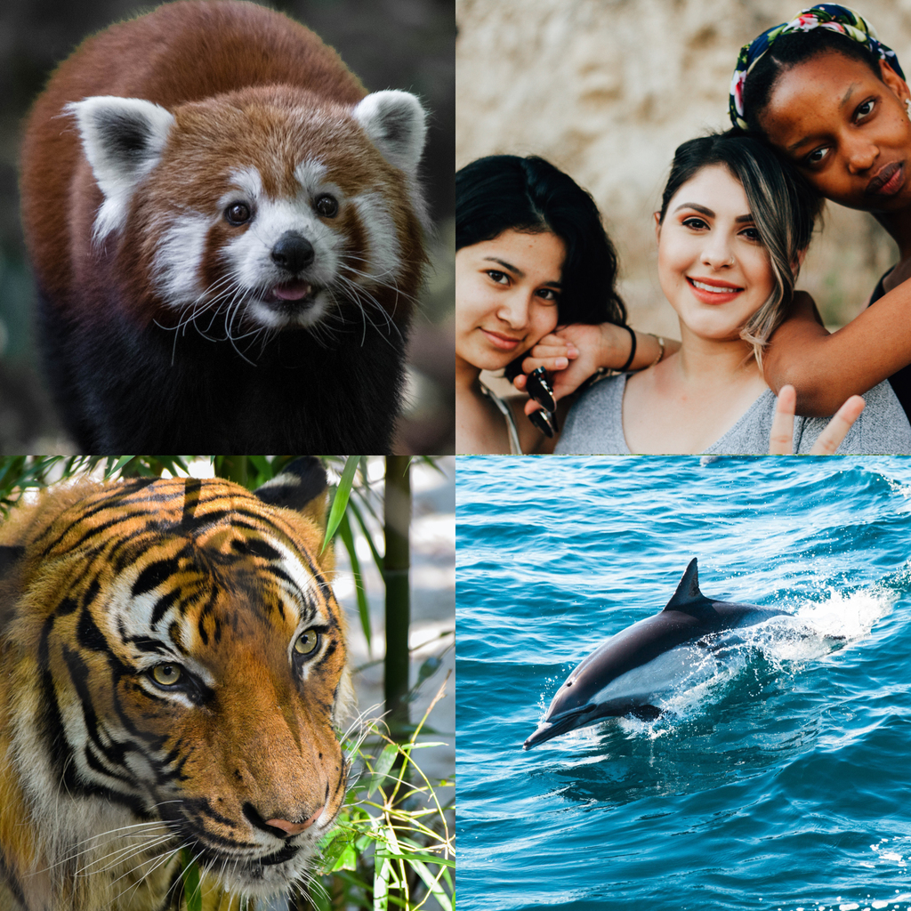 Placental Mammals (Placentalia) - Know Your Mammals