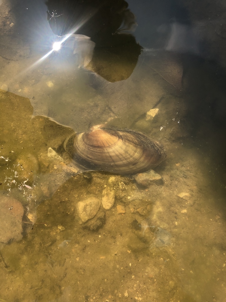 Fatmucket from Sturgeon, MO, US on August 30, 2020 at 12:35 PM by ...
