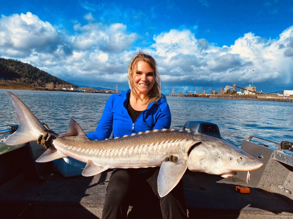 White Sturgeon from Willamette River, Portland, OR, US on February 16 ...