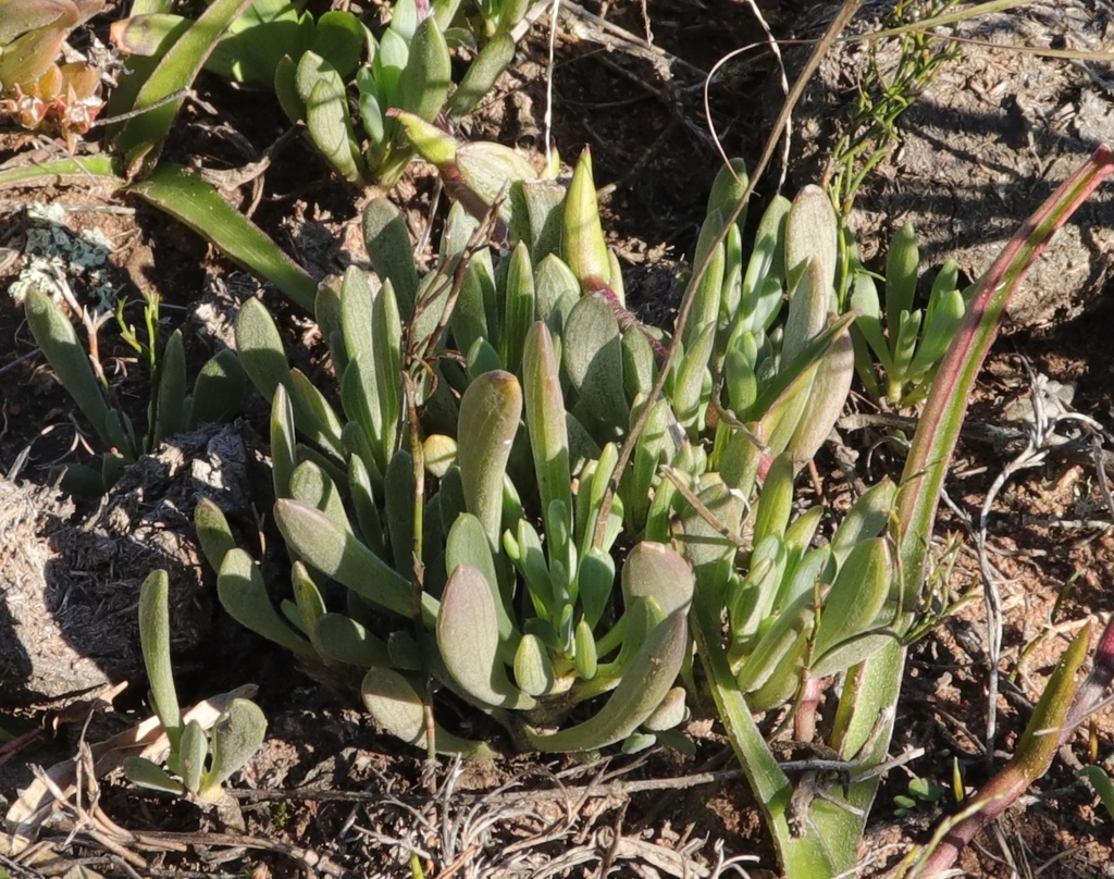 Toxic Beads from Mossdustria on June 17, 2020 at 01:12 PM by Sandra ...