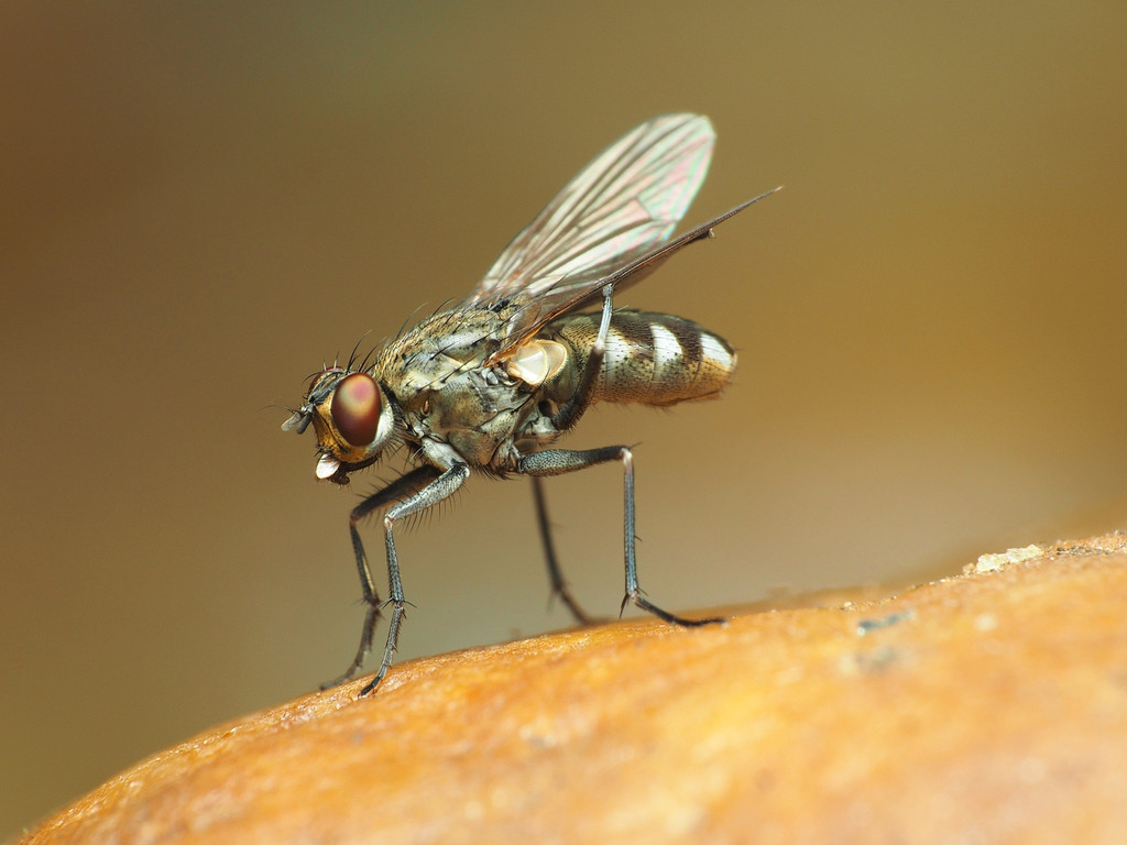 Lispe from Montgomery, Maryland, United States on August 22, 2020 at 05 ...