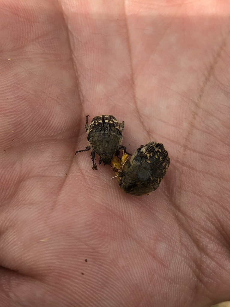 Euphoria from Watson Lake Park, Prescott, AZ, US on September 12, 2020 ...
