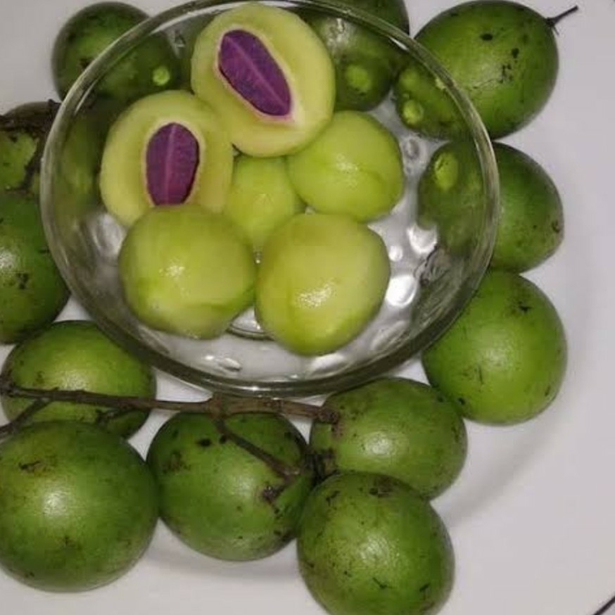 Gandaria from West Java on May 8, 2019 at 03:15 PM by Muhammad Fajryan ...