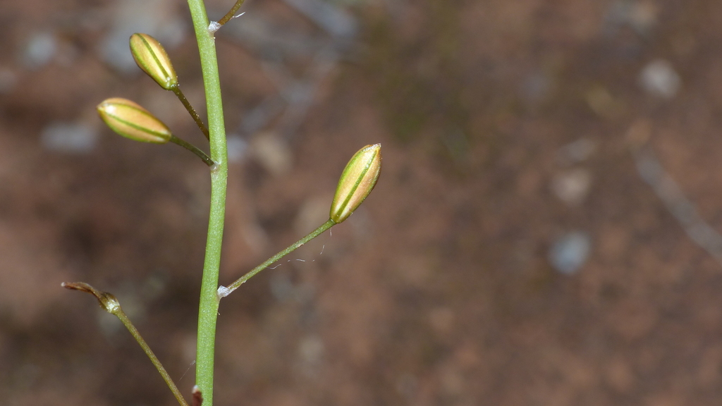 Kopievas from Marius river road on September 28, 2020 at 09:25 AM by ...