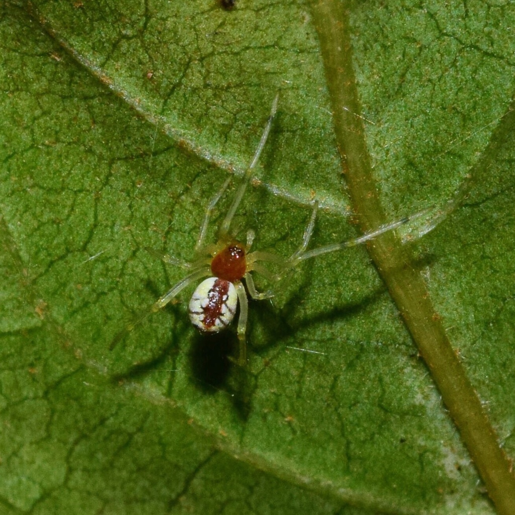 Chrysso from KZN, ZA on September 25, 2020 at 09:15 PM by suncana ...