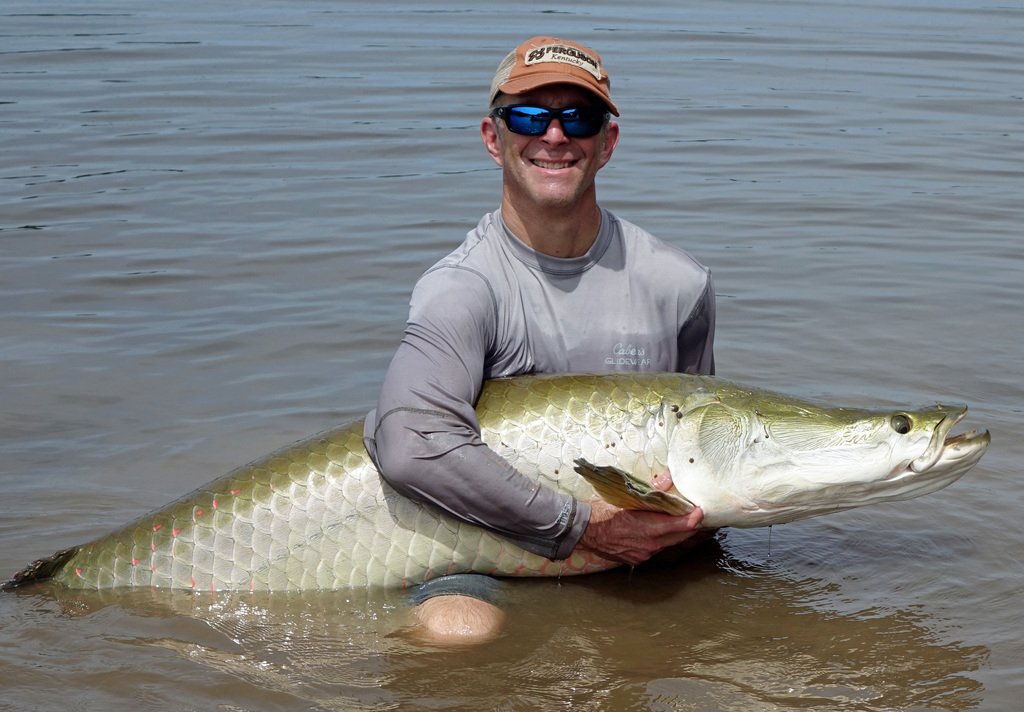 Giant arapaima (Arapaima gigas) - Marine Life Identification